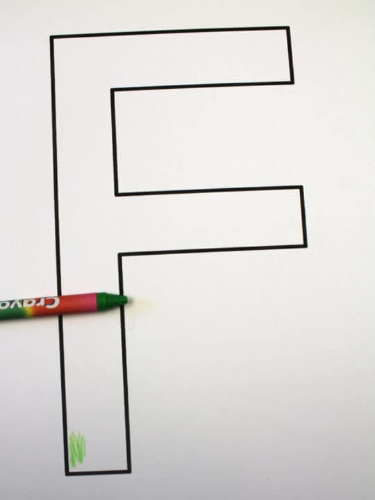 Easy Letter F Flower Craft for Preschoolers to Make - A Crafty Life