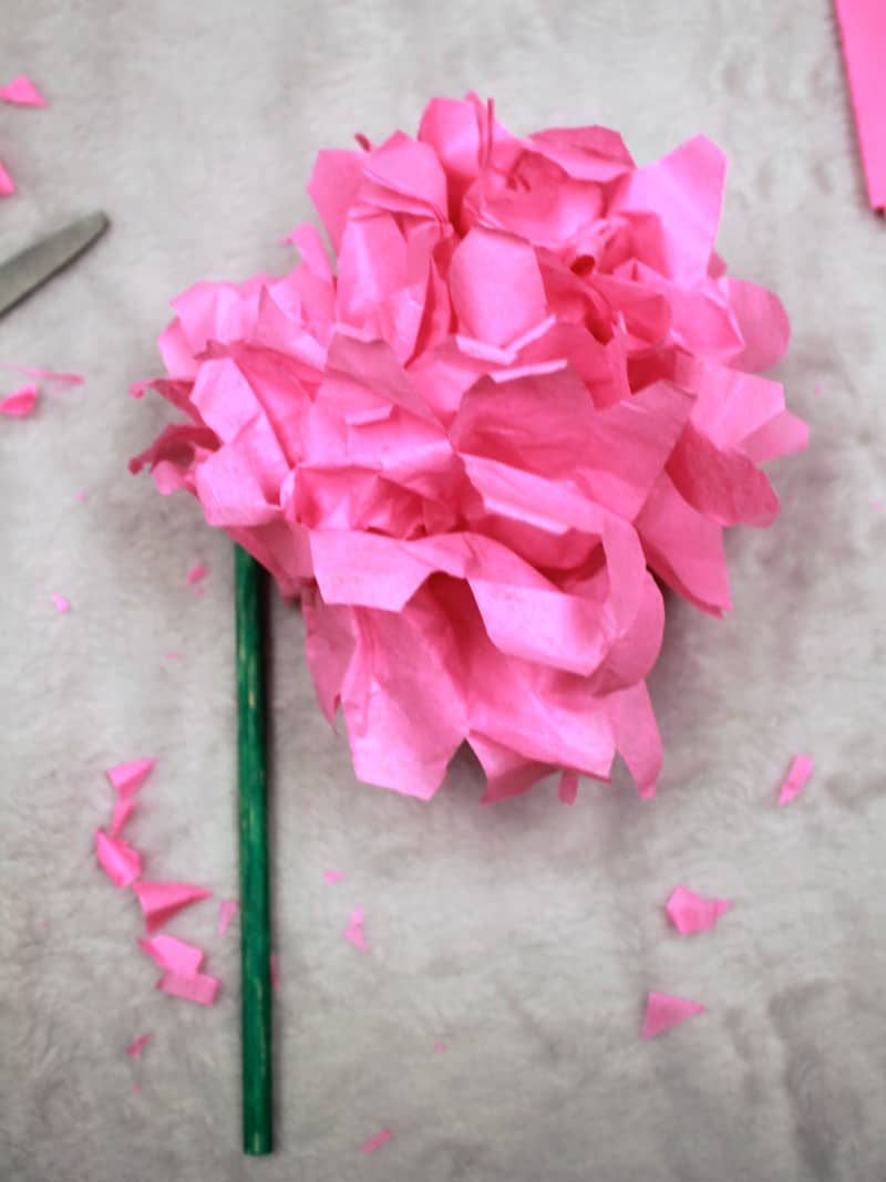 How to Make a Tissue Paper Flower Craft: Fun Easy - A Crafty Life