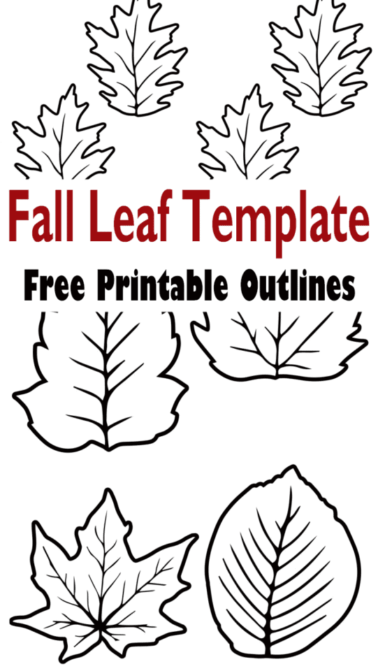 8 Fall Leaf Template Printable Outlines: Different Sizes Free - A ...