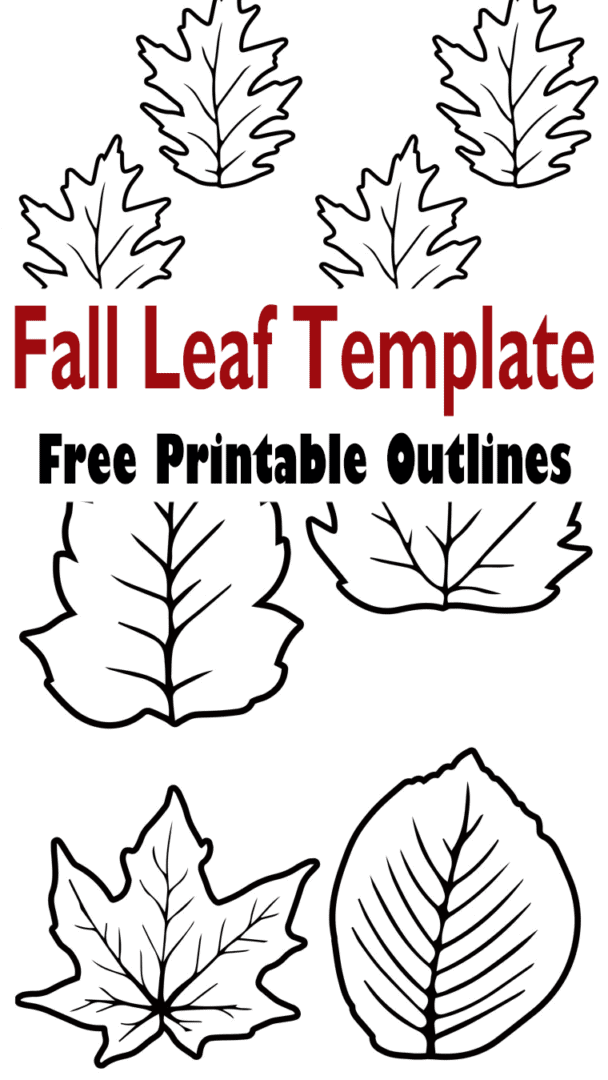 8 Fall Leaf Template Printable Outlines: Different Sizes Free - A ...