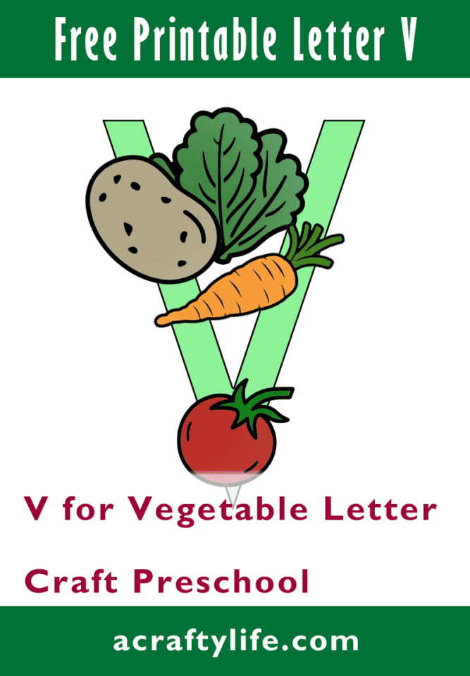 Easy V is for Vegetables Letter Craft Preschool Activity - A Crafty Life